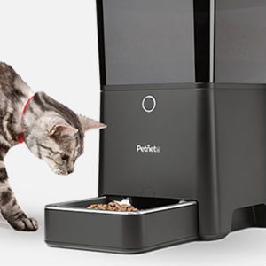 Pet IoT Devices | Product Guide to Dog, Cat and Fish Gadgets