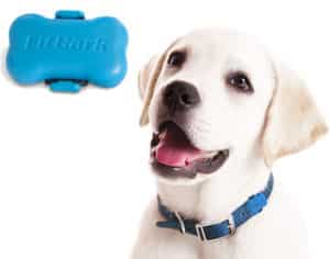 Pet IoT Devices | Product Guide to Dog, Cat and Fish Gadgets