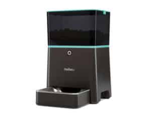 Pet IoT Devices | Product Guide to Dog, Cat and Fish Gadgets