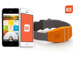 Pet IoT Devices | Product Guide to Dog, Cat and Fish Gadgets