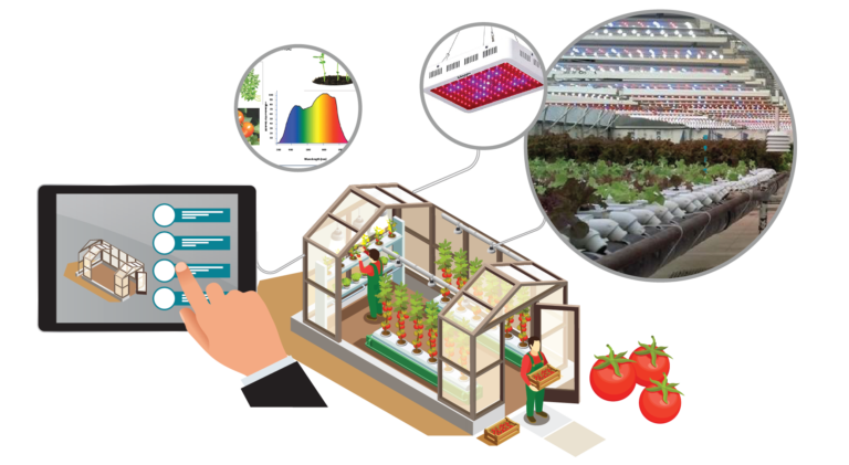 Smart Greenhouse | 2019 Guide to best Sensors and Remote Automated ...